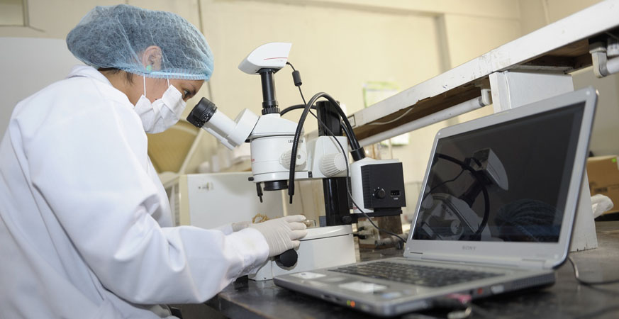 Gobierno Aprueba Política Nacional Para El Desarrollo De La Ciencia